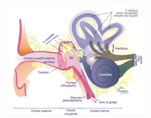 ipack_017 - Plongée Plaisir, site officiel