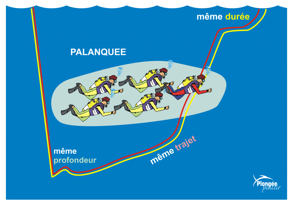 La notion de palanquée - Plongée Plaisir, site officiel