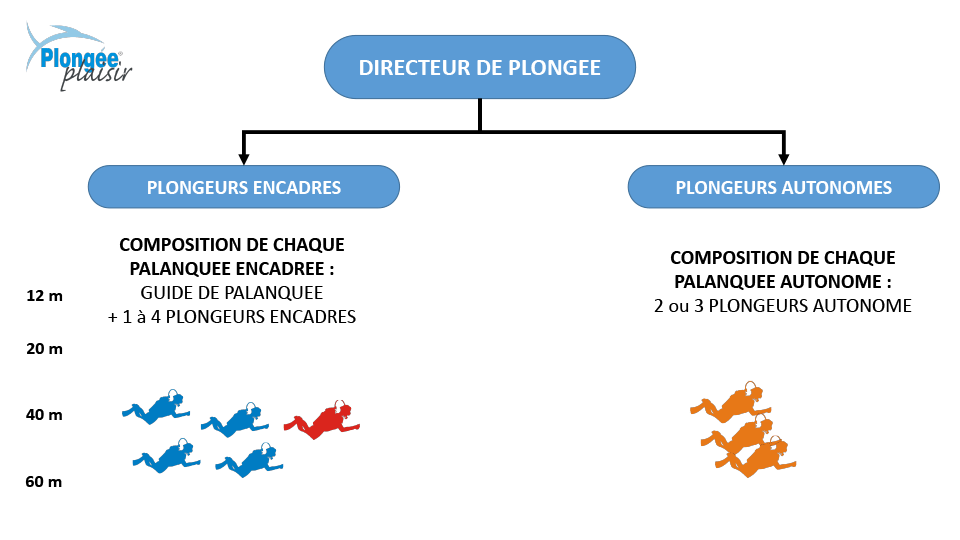 Les niveaux en plongée | Plongée Plaisir, site officiel Les niveaux en plongée | Plongée Plaisir, site officiel