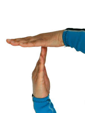 Les signes de plongée - Plongée Plaisir, site officiel