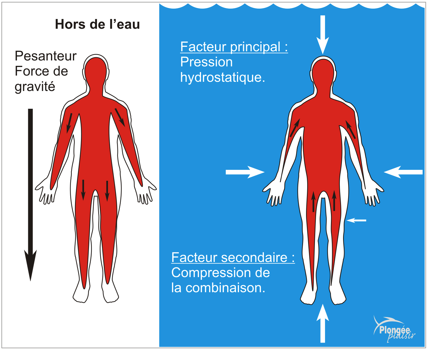 deshydratation-2 - Plongée Plaisir, site officiel