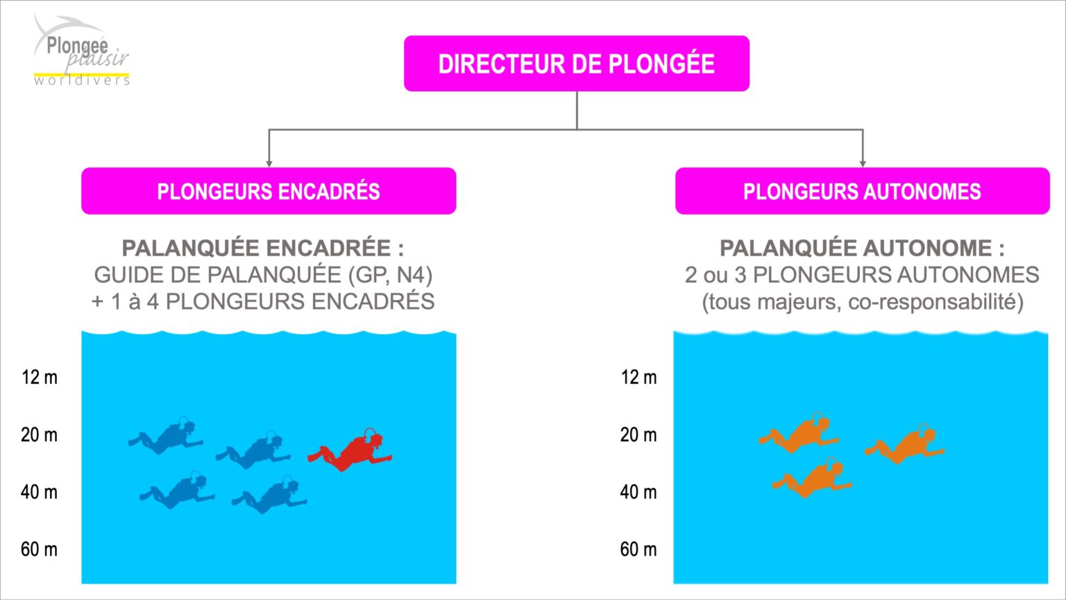 Les niveaux en plongée - Plongée Plaisir, site officiel