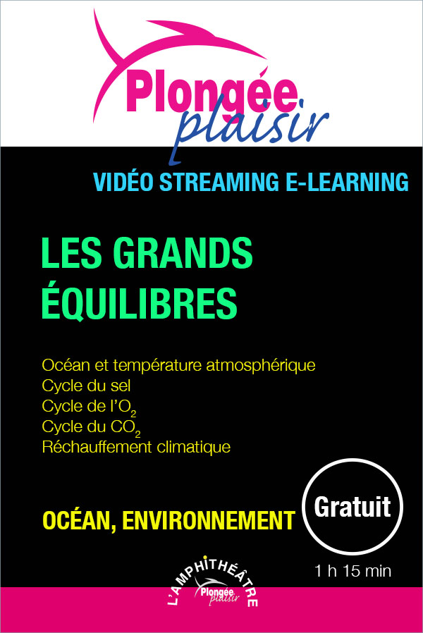 Les grands équilibres - Plongée Plaisir, site officiel