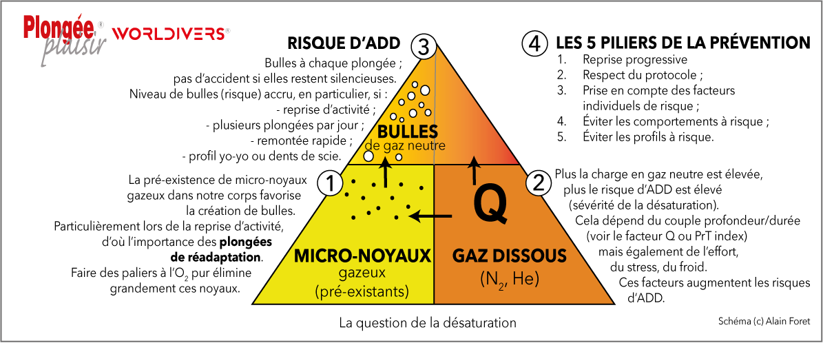 Reprise progressive - Plongée Plaisir, site officiel